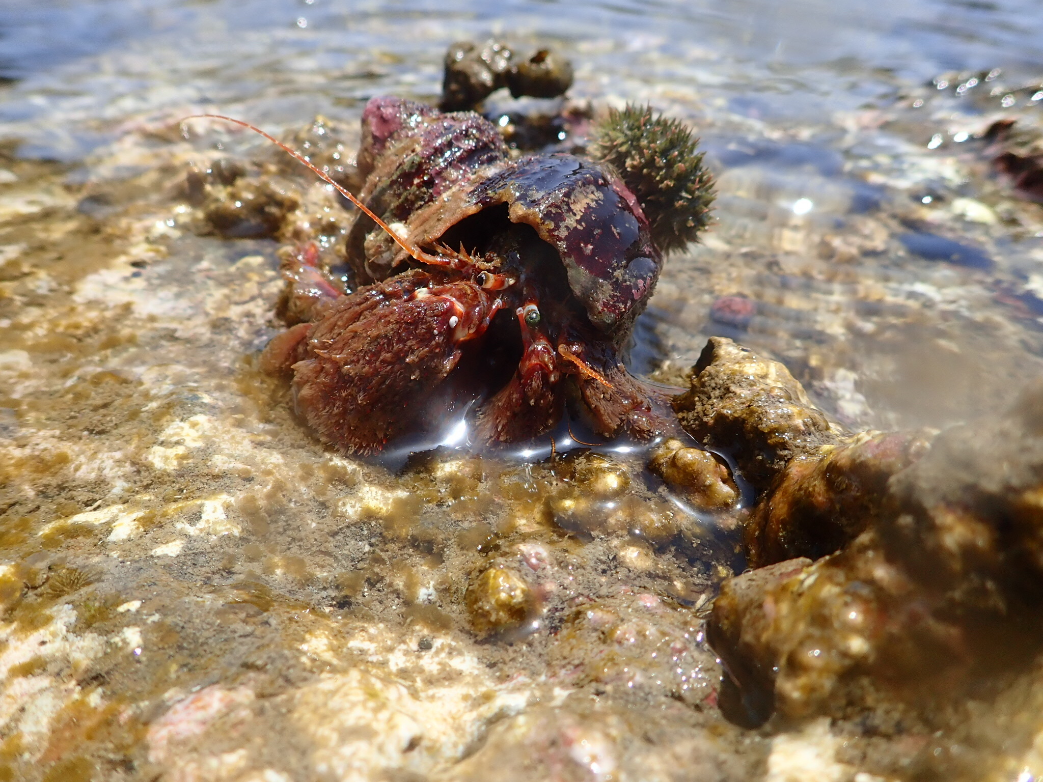OLYMPUS DIGITAL CAMERA｜ガリオの地球飯