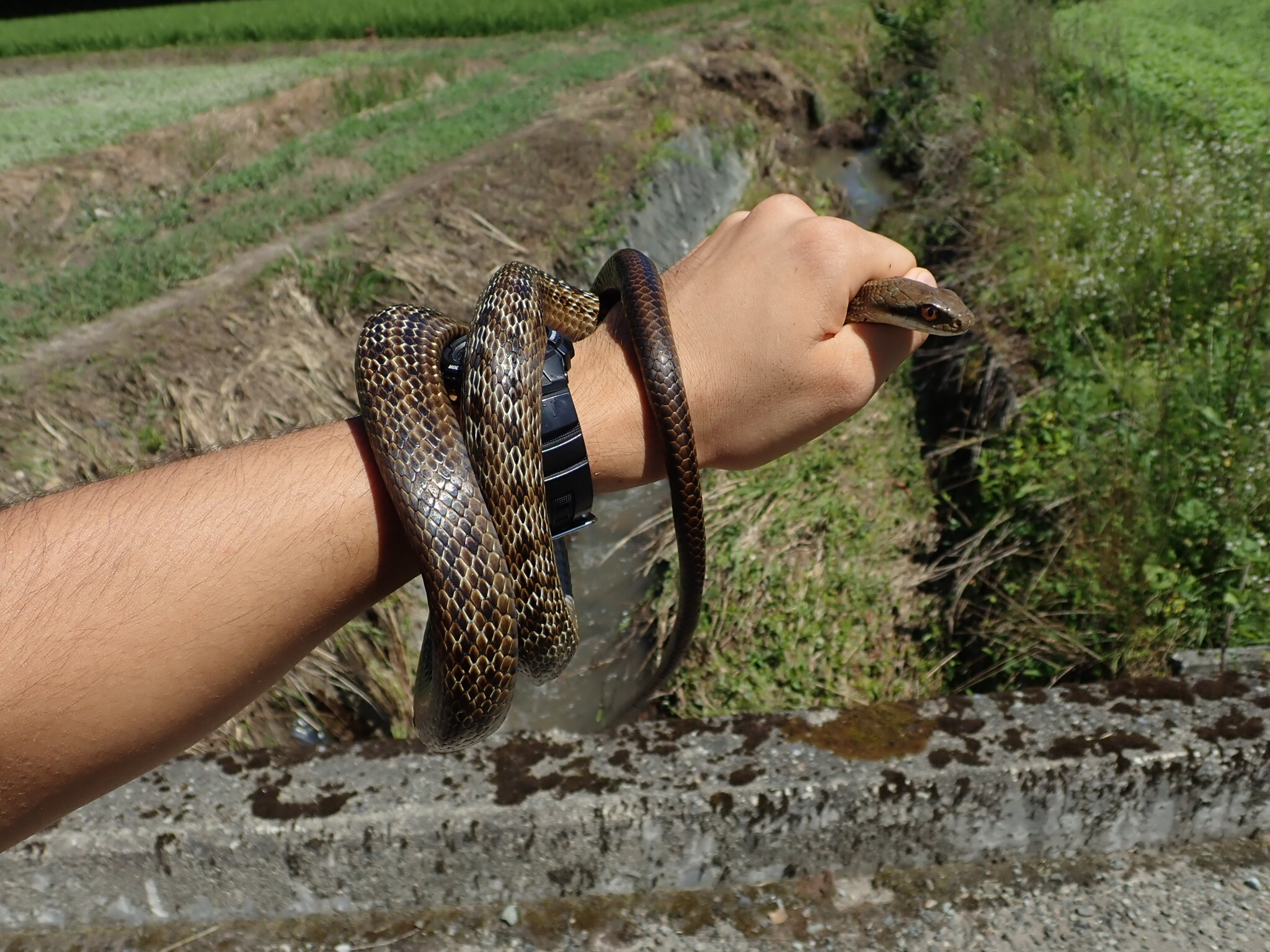 OLYMPUS DIGITAL CAMERA｜ガリオの地球飯